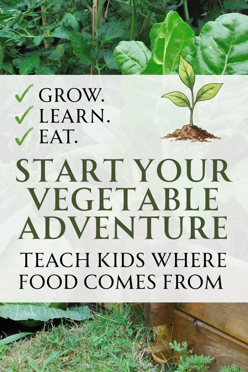 🌱 The Easiest Way to Get Kids Excited About Growing Veggies – Print GoGo